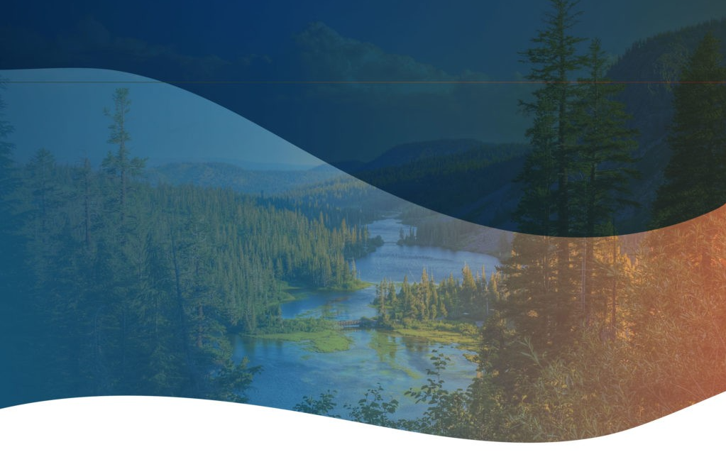 CDAP Digital Adoption Roadmap for TWC - Propel Solutions